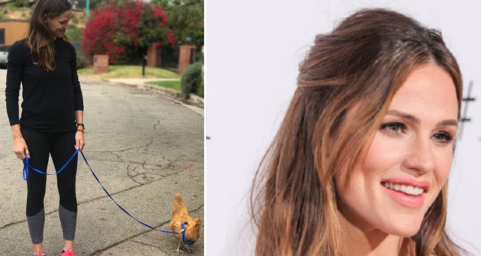 Hollywood Actress, Jennifer Garner Takes A Walk With Her Pet Chicken ...