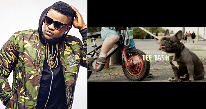 VIDEO: Skales - Kpete Wicked - Download mp4 - YabaLeftOnline