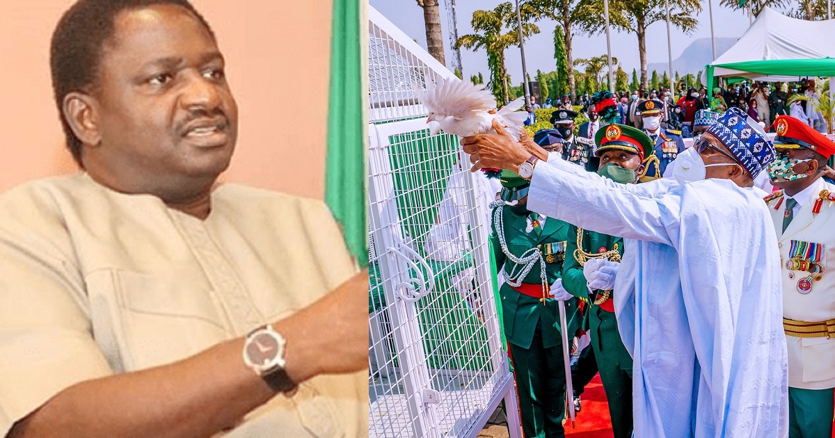 Femi Adesina Explains Why The Pigeons Refused To Fly On Armed Forces ...