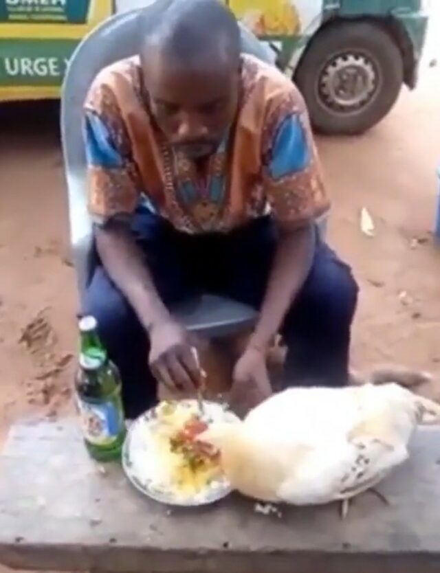 Shocking video of Man eating from the same plate with a chicken (Watch ...