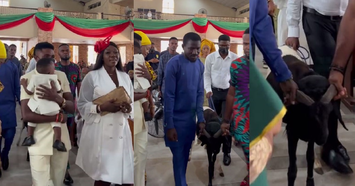 Comedian, MC Edo Pikin and family visit church with big ram, home ...