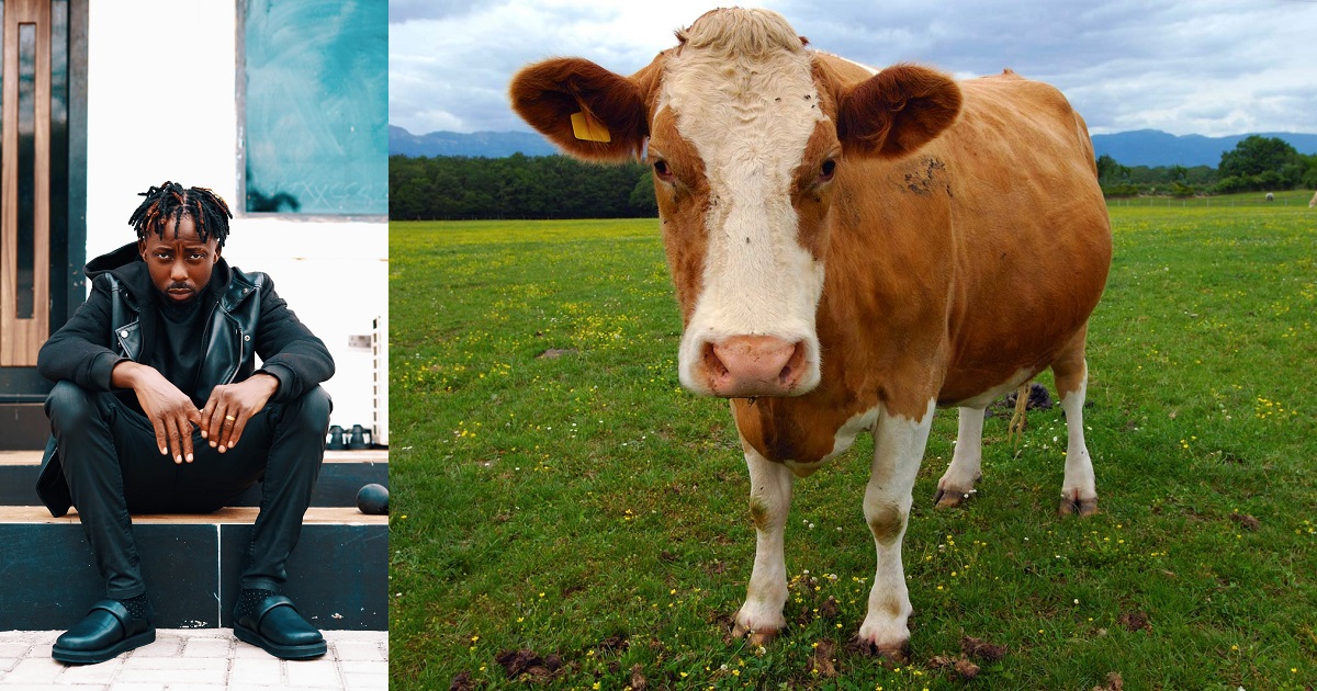 Why I wish I was a cow — Rapper Erigga - YabaLeftOnline