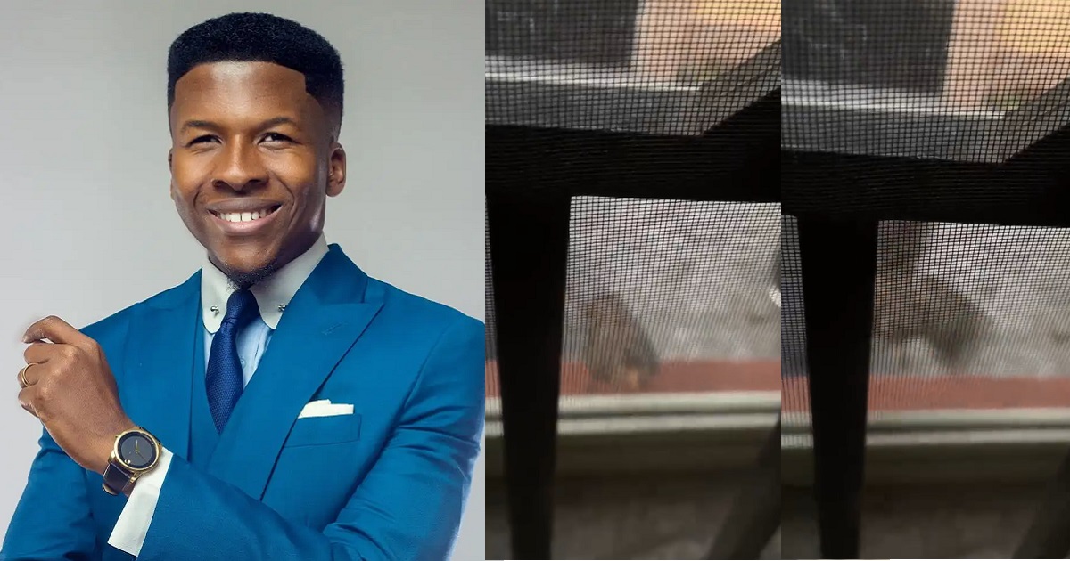 "How God sent a bird to wake me up from sleep" — Pastor Emmanuel Iren ...