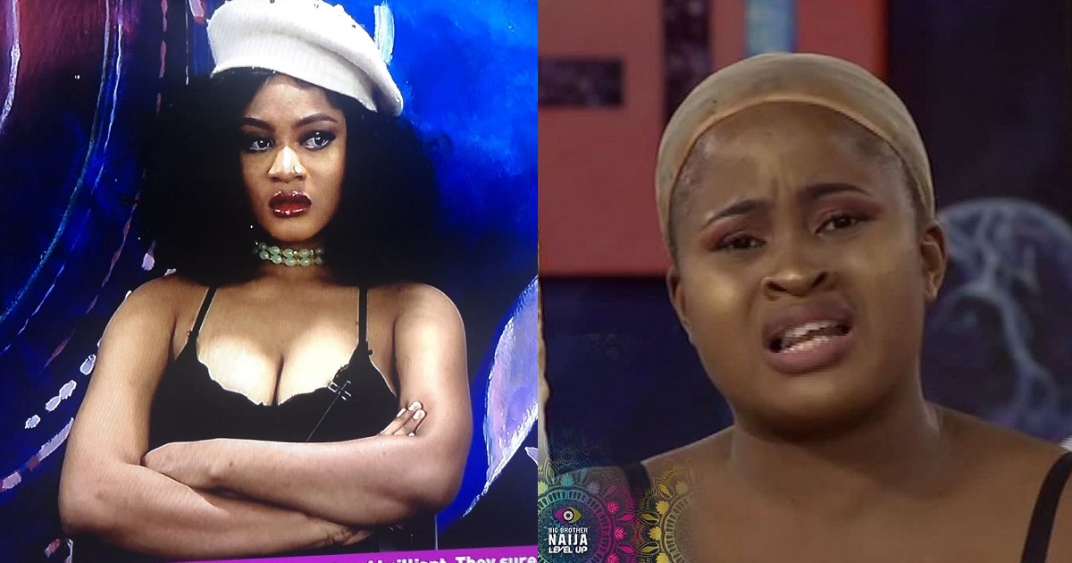 #BBNaija: "As your friend, I can sleep with your man" — Phyna tells Amaka (Video) - YabaLeftOnline