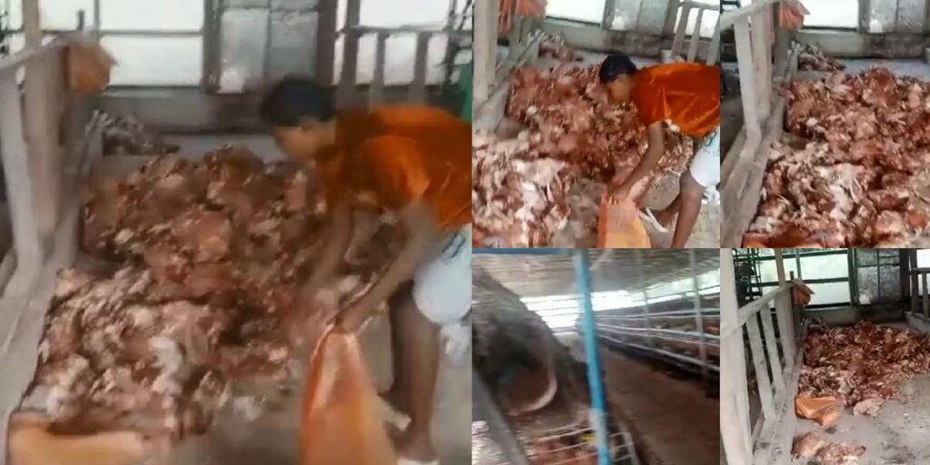 "My heart is failing me. Totally depressed" – Farmer shows the losses ...