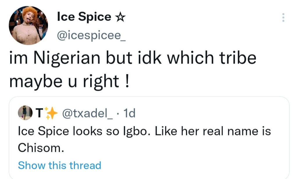 "I'm Nigerian" - American rapper, Ice spice reveals. - YabaLeftOnline