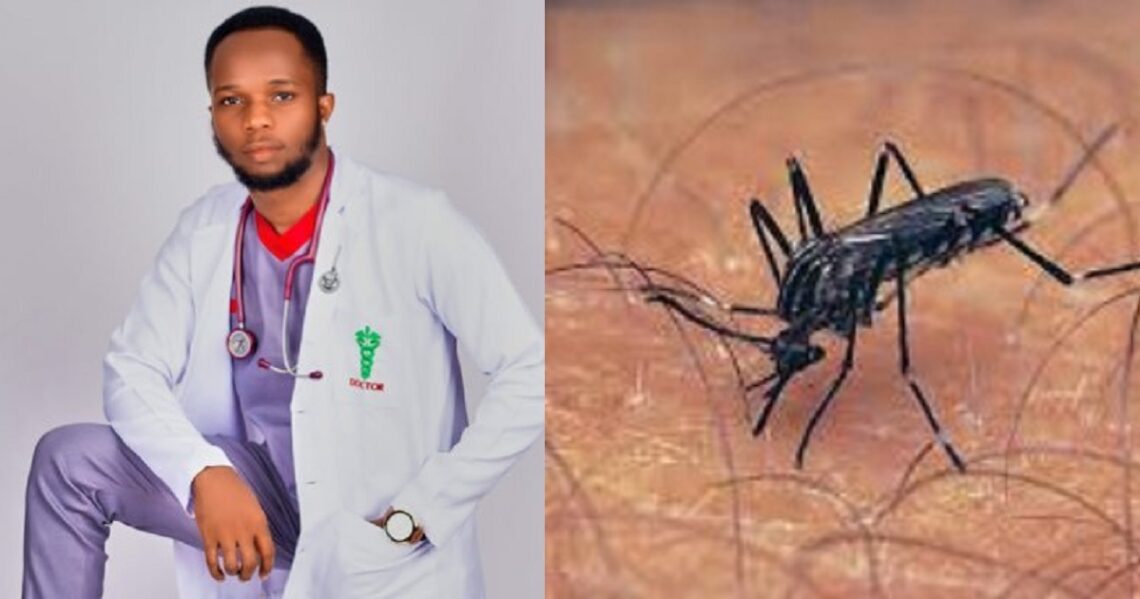 "Consider a mosquitoes' family before killing it, they don't just bite ...