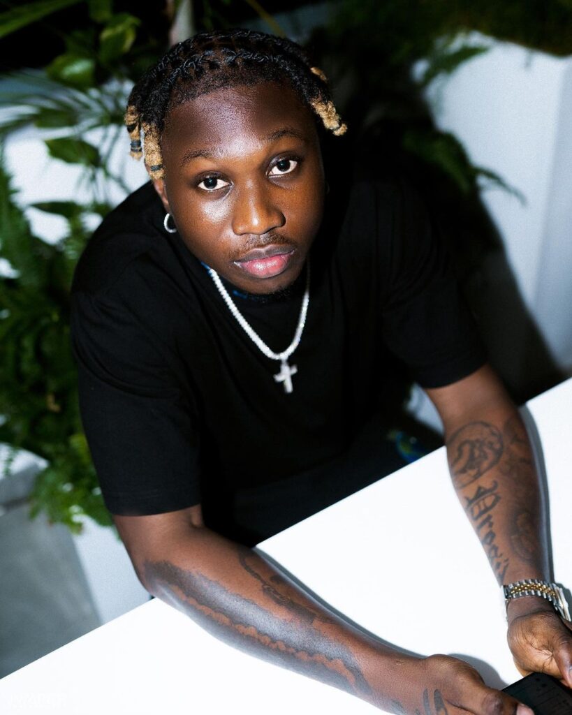 Video captures moment Nigerian rapper, Zlatan fought off a fan for ...