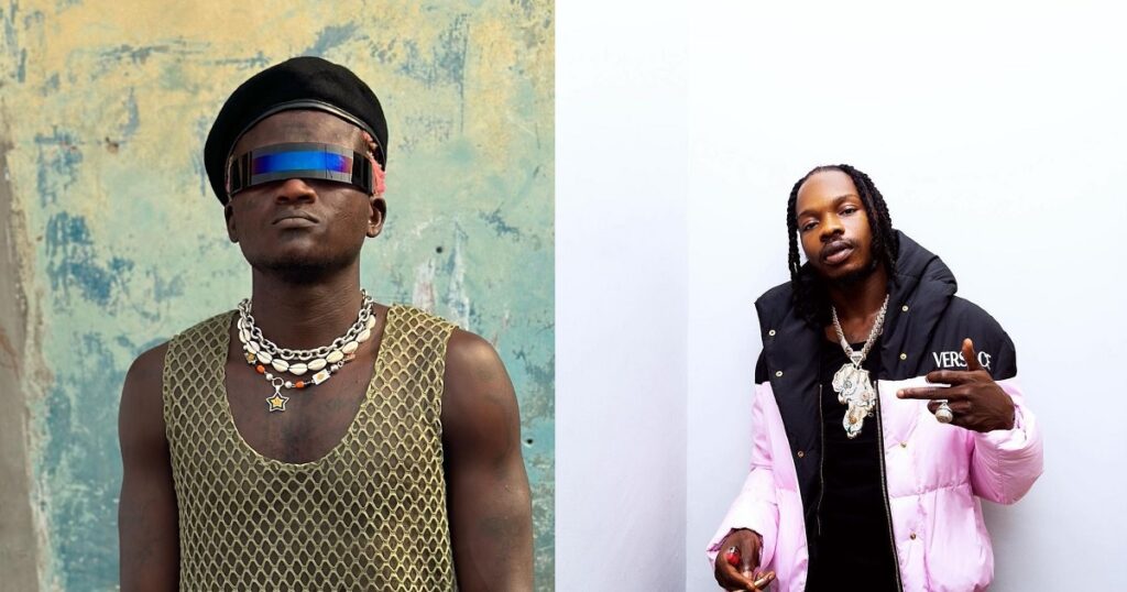 "Portable did in one year what Naira Marley took years to achieve ...