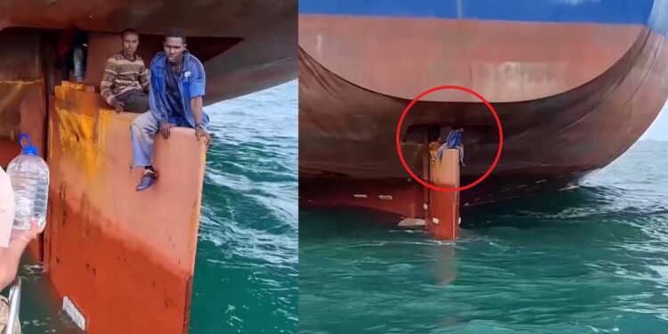 Four Nigerian stowaways reveal how they survived 14 days on ship's ...
