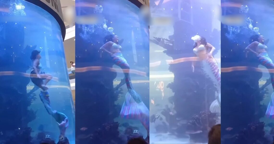Professional Mermaid's Tail Gets Trapped In Shopping Mall Aquarium As ...