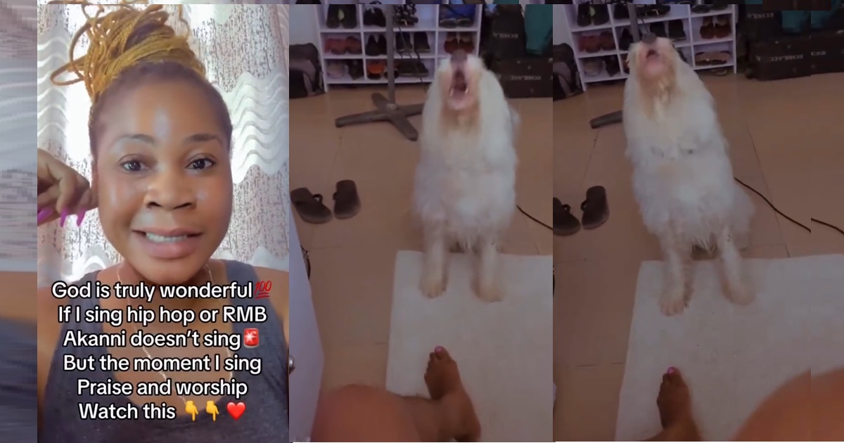 "Your dog na pastor for animal kingdom" – Lady shares how her dog ...