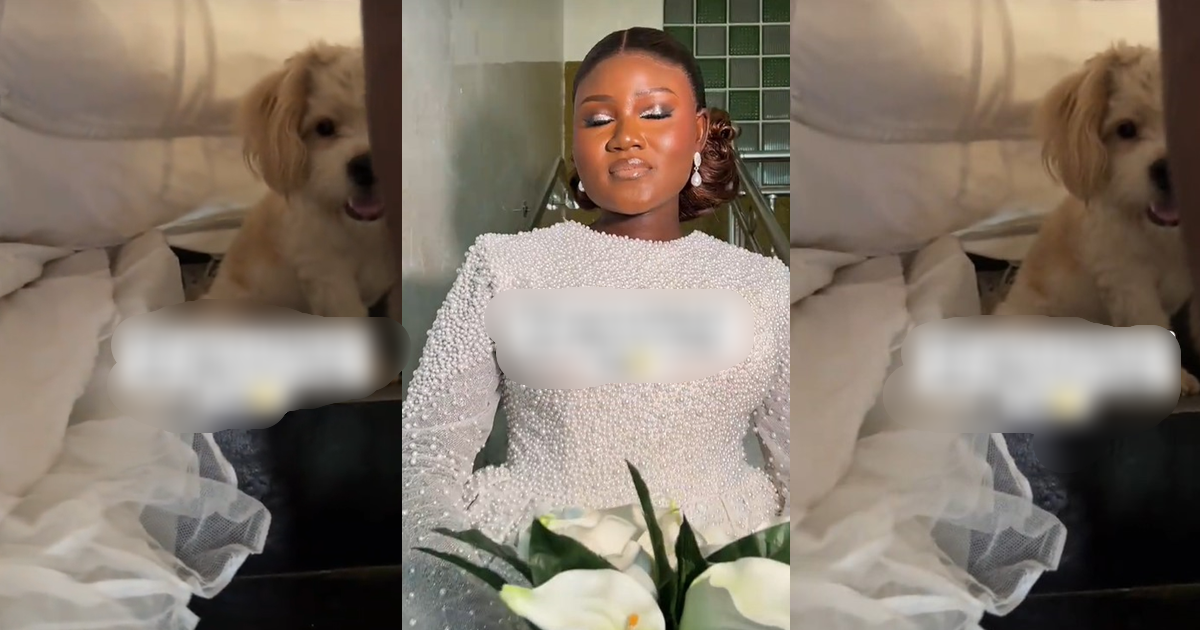 "The dog came for the wedding" – Nigerian bride's clingy dog hid ...