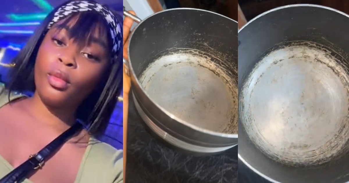 "He used iron sponge" – Lady Left Speechless After Neighbor Returns Her ...