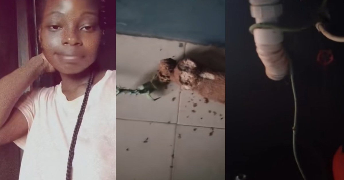 Lady shows what happened to the tuber of yam she left in her kitchen ...